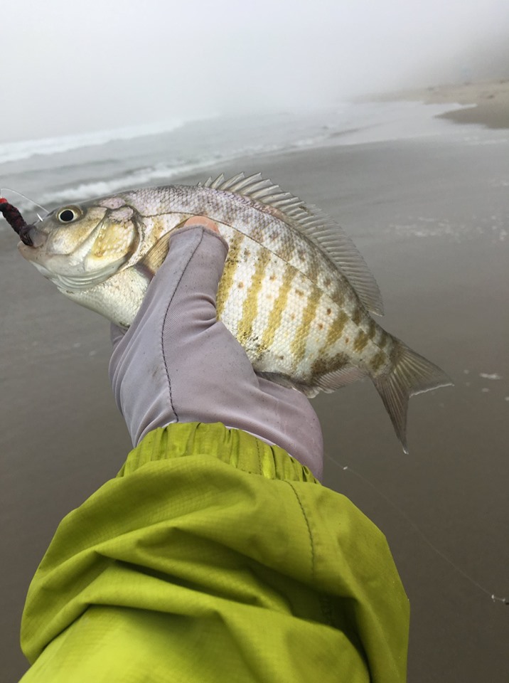 Fly Fish The Surf 7-11-2019